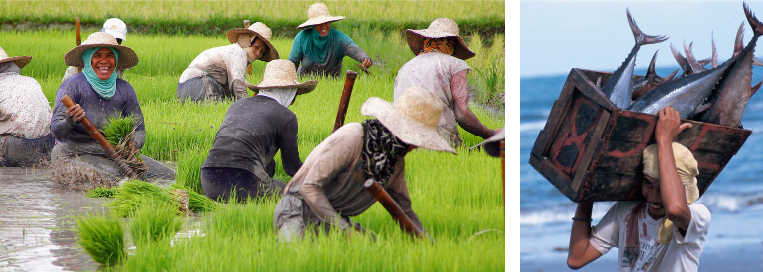 Boosting Countryside Development in the Philippines: Livelihood ...