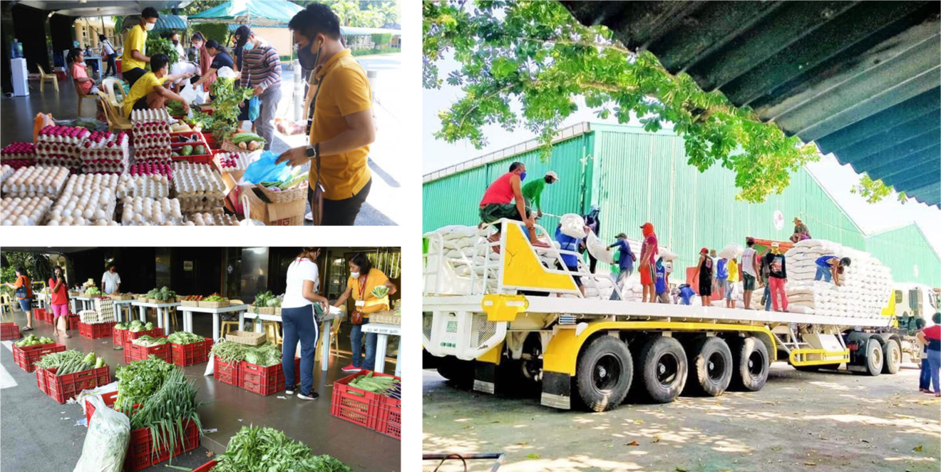 Boosting Countryside Development in the Philippines: Livelihood ...